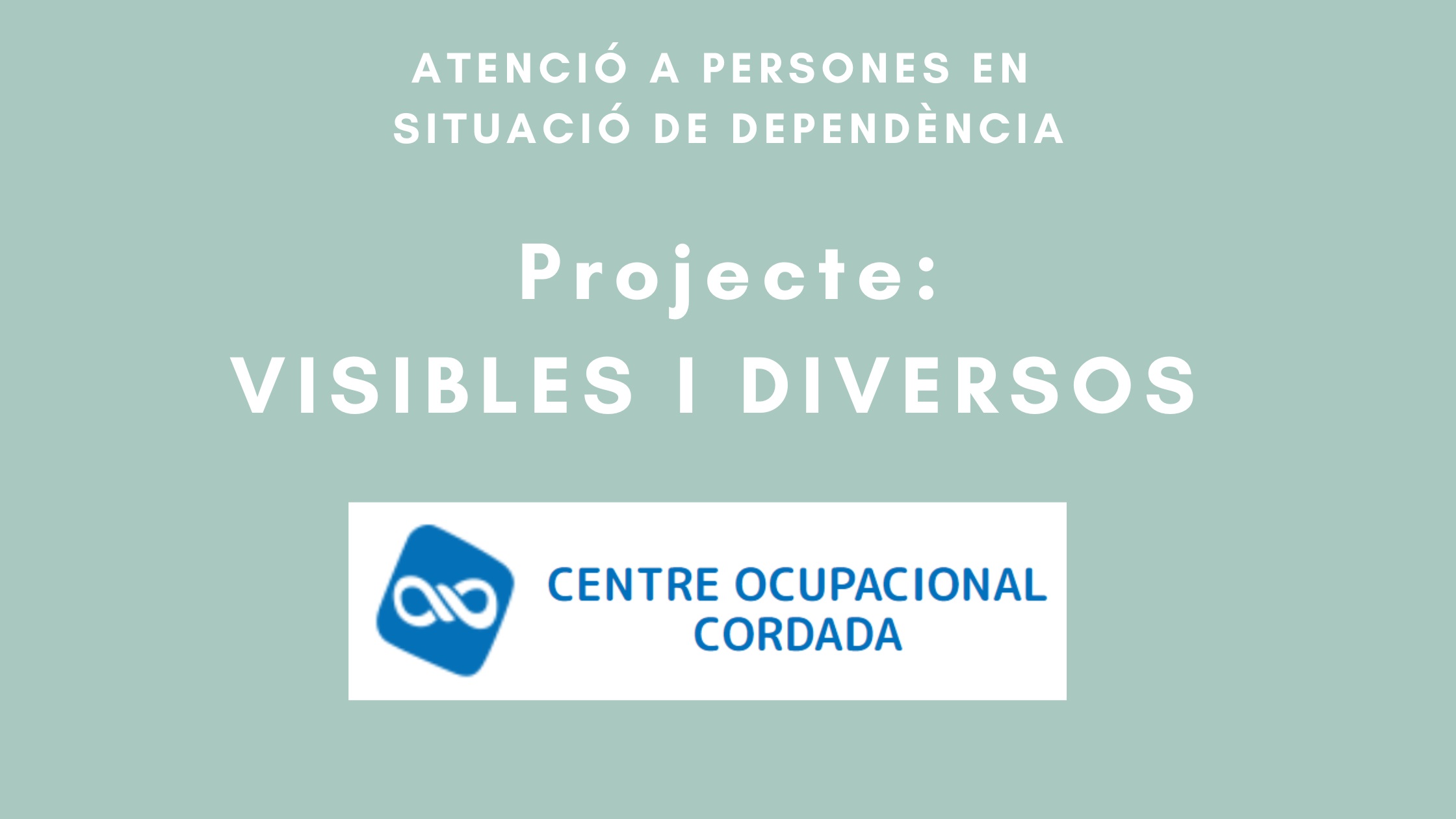 VISIBLES I DIVERSOS - Part 2 - Santapau-Pifma